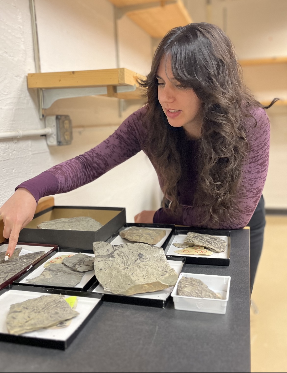 Samar El-Abdallah | Cal Poly Humboldt