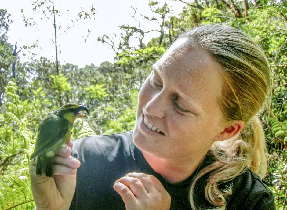 The Race to Save a Critically Endangered Bird
